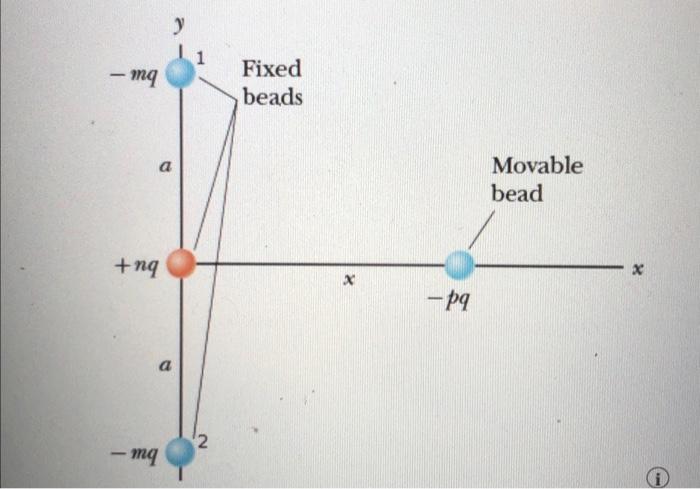 Solved my Fixed beads Movable bead + - Three foed beads are | Chegg.com