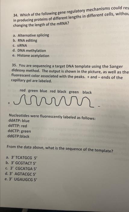 Solved 34. Which of the following gene regulatory mechanisms | Chegg.com
