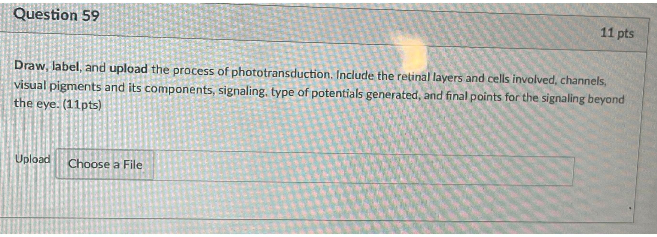 Solved Question 5911 ﻿ptsDraw, label, and upload the process | Chegg.com