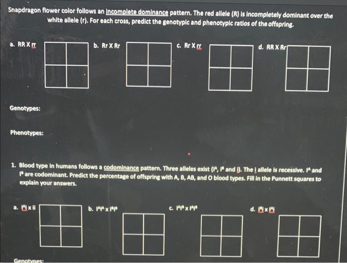 Solved Snapdragon flower color follows an Incomplete | Chegg.com