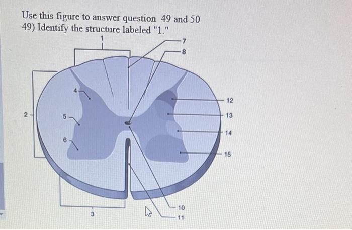Solved Use this figure to answer question 49 and 50 49) | Chegg.com