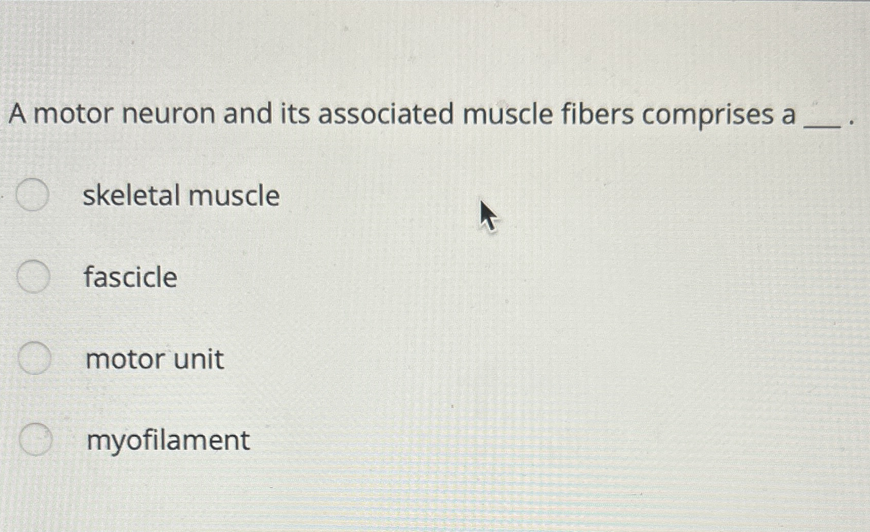 Solved A motor neuron and its associated muscle fibers | Chegg.com