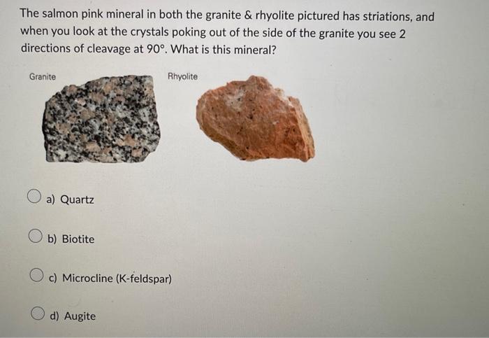 Solved Which of the following is an example of a dormant | Chegg.com