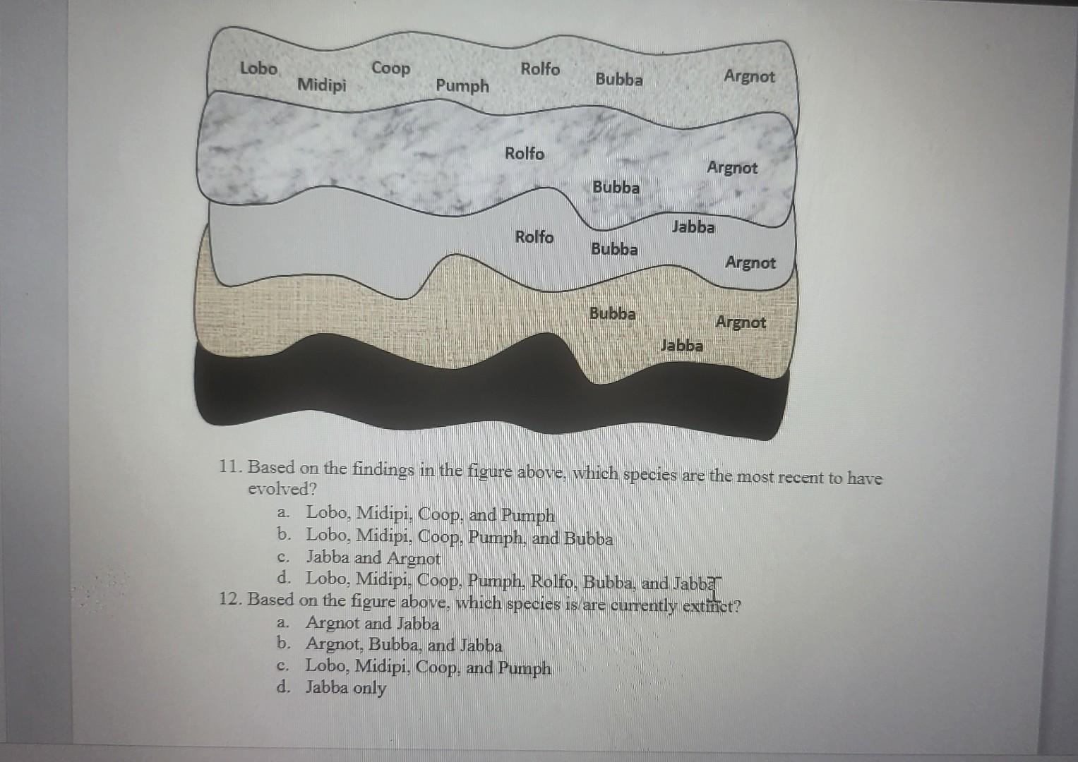 Solved 17. Based on the figure above, which mandible is most | Chegg.com