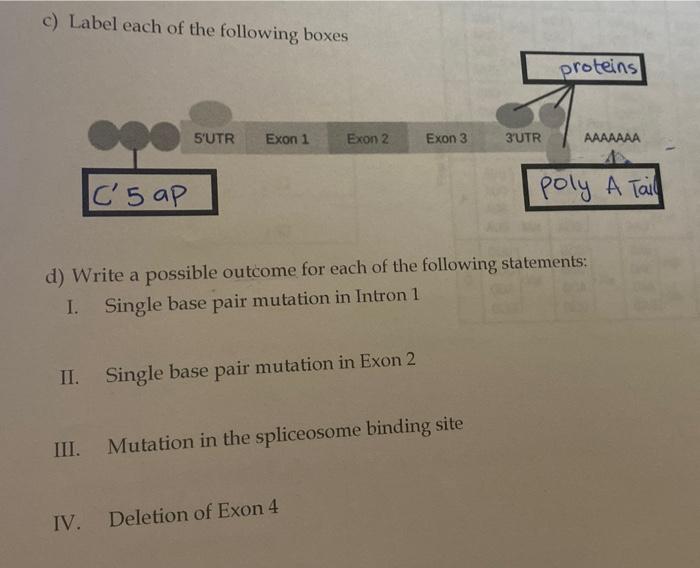 Solved c) Label each of the following boxes d) Write a | Chegg.com