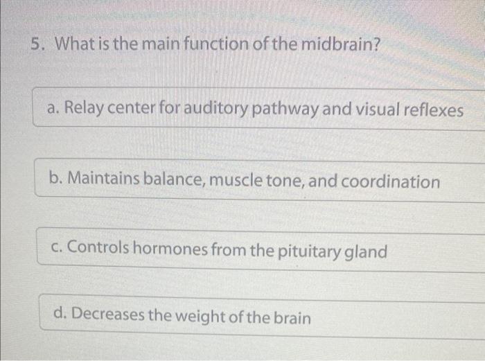 Solved 5. What is the main function of the midbrain? a. | Chegg.com
