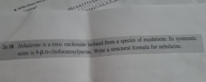 Solved 26.18 ﻿Nebularine is a toxic nucleoside isolated from | Chegg.com