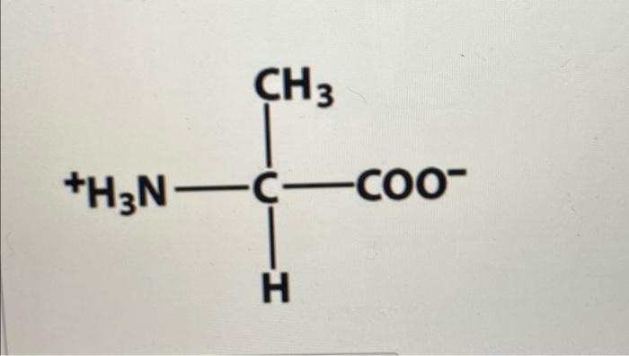 CH3 +H3N—C—000- -Coo- U-I H CH3 S CH2 CH2 *H3N C | Chegg.com