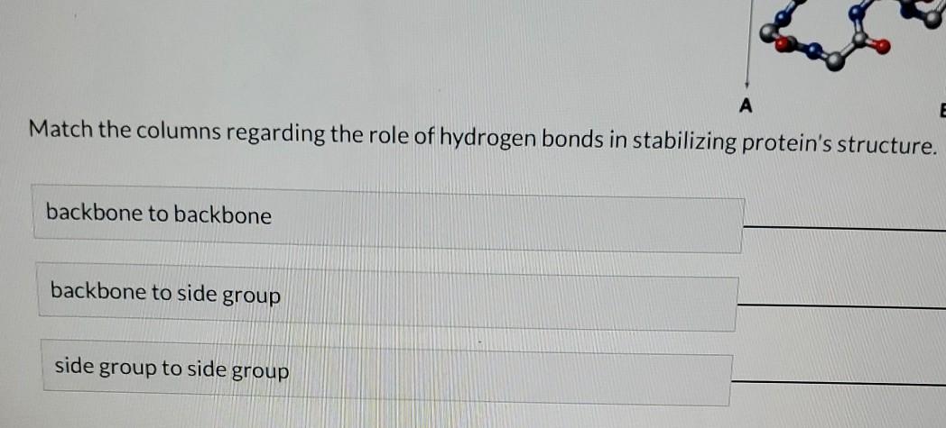 Solved A B C stabilizing protein's structure А E Match the | Chegg.com