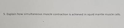 Solved Explain how simultaneous muscle contraction is | Chegg.com