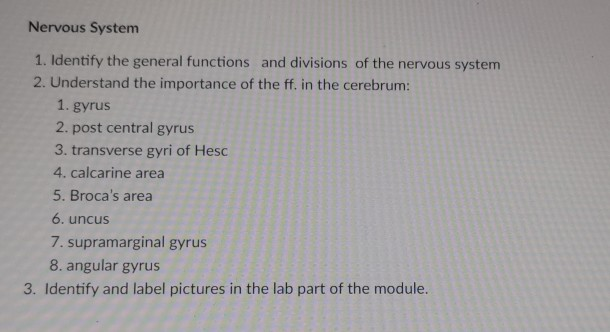 Solved A.Skeletal and Articular Systems 1. Give the general | Chegg.com