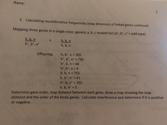 Solved Name: 2 2. Calculating recombination frequencies (map | Chegg.com