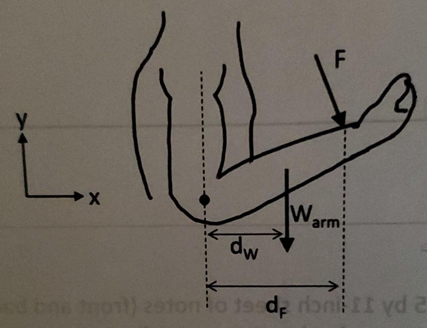 Solved The resistance force, F, is perpendicular to the long | Chegg.com