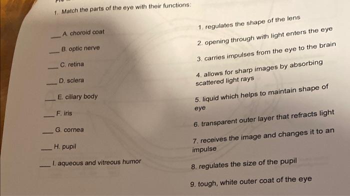 Solved 1. Match the parts of the eye with their functions: A | Chegg.com
