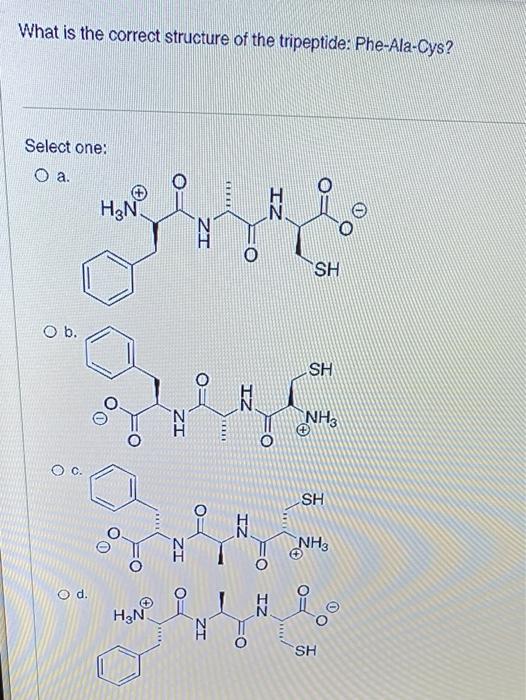 Solved What is the correct structure of the tripeptide: | Chegg.com