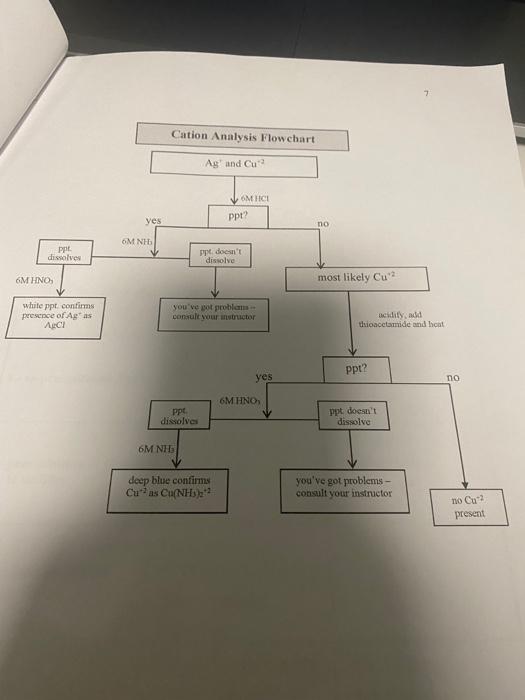 Solved Cation Analysis Flowchart Ag′ and Cu−2Qualitative | Chegg.com