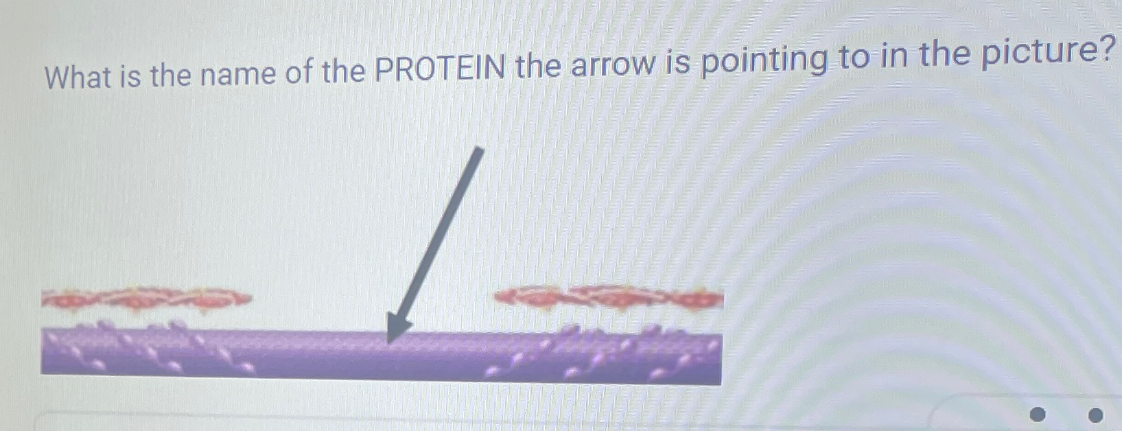 What is the name of the PROTEIN the arrow is pointing | Chegg.com