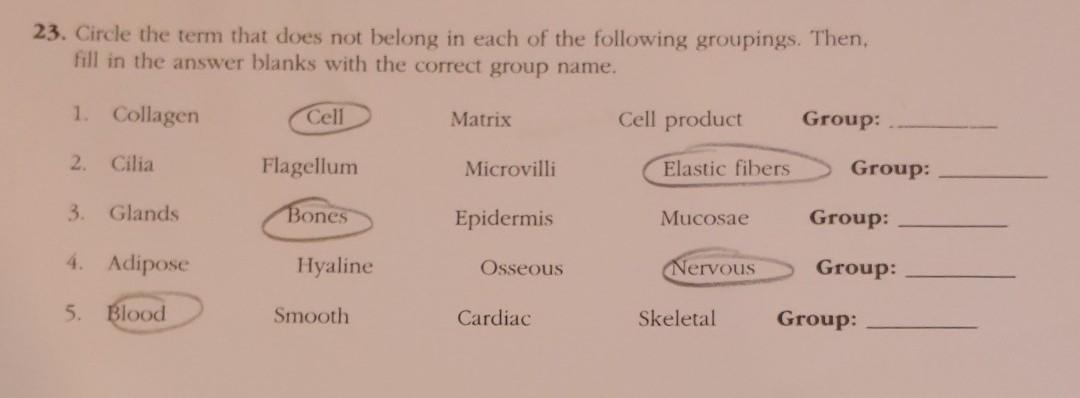 Solved 23. Circle the term that does not belong in each of | Chegg.com