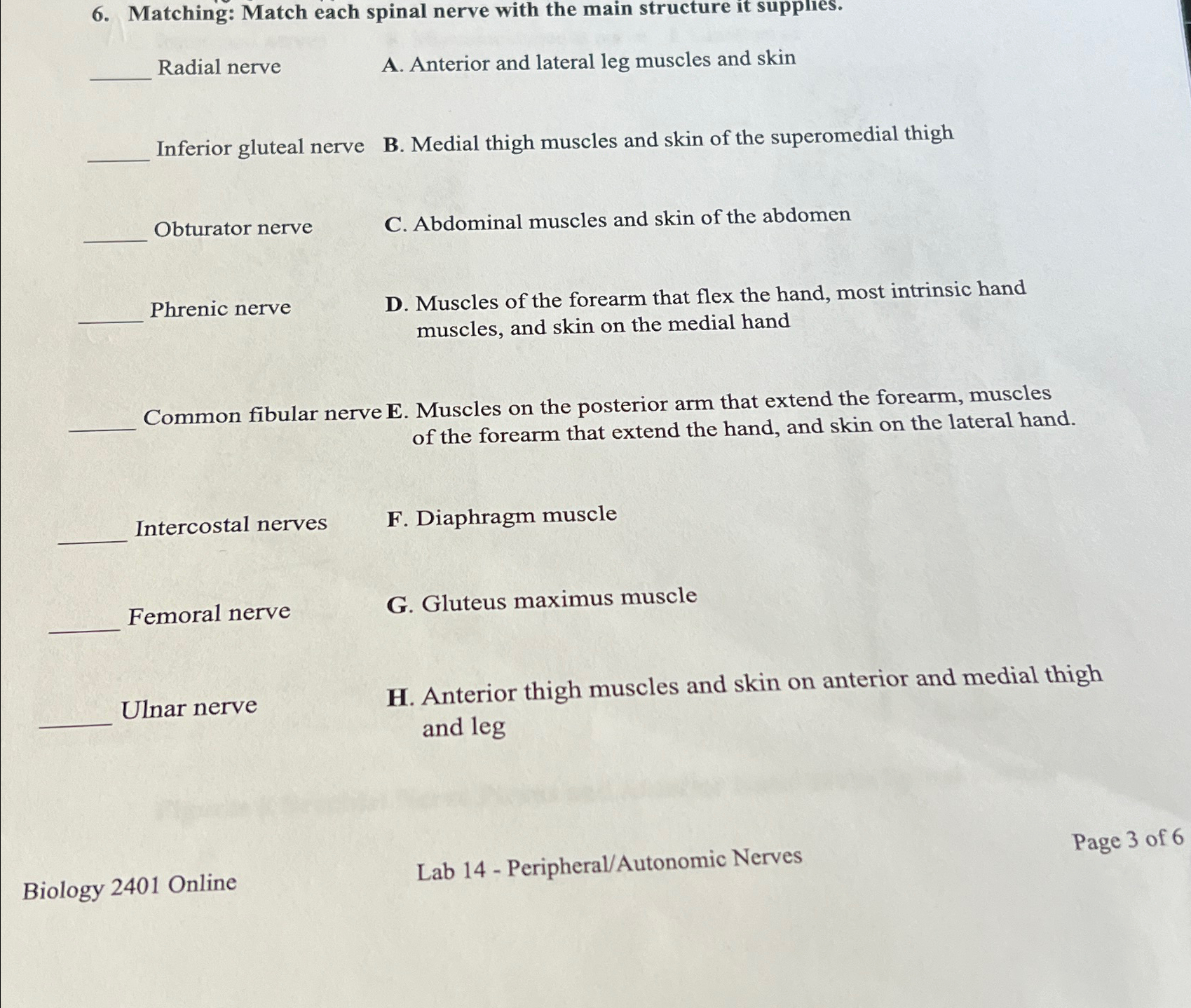 Solved Matching: Match each spinal nerve with the main | Chegg.com