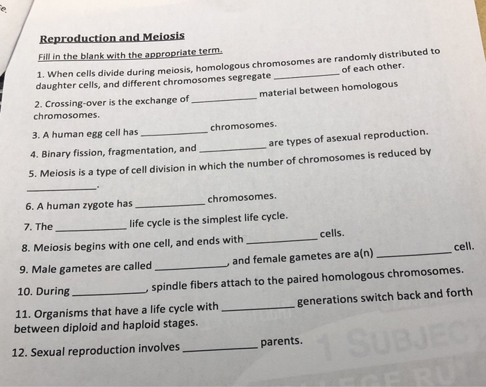 Solved Reproduction and Meiosis Fill in the blank with the | Chegg.com