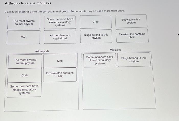 Solved Arthropods versus mollusks Classify each phrase into | Chegg.com