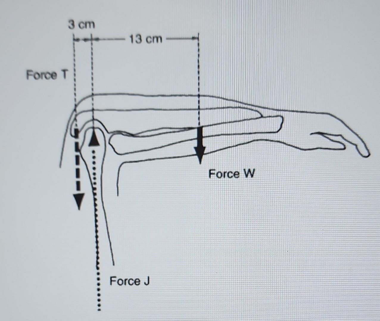 Solved We want to find the anatomical physical | Chegg.com