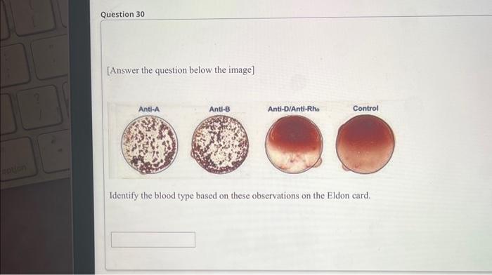 Solved [Answer the question below the image] Identify the | Chegg.com