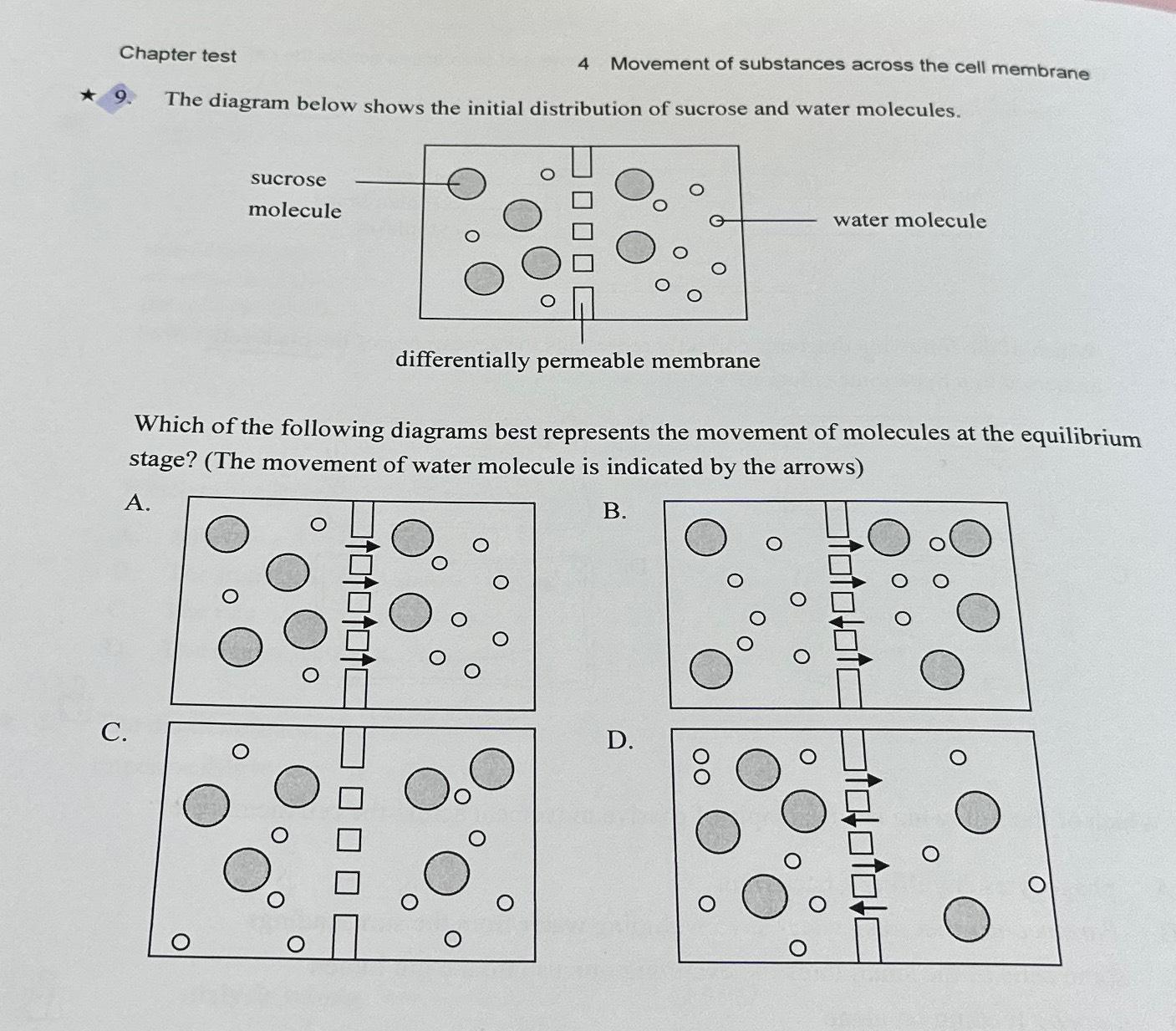 Solved Chapter test4 ﻿Movement of substances across the cell | Chegg.com