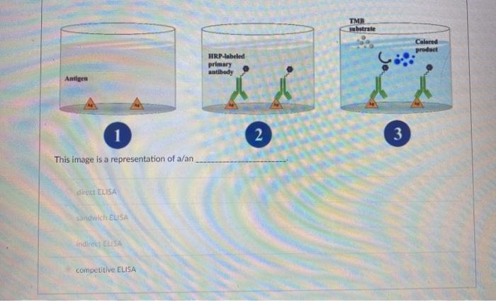 Solved Antigen Antibody Enzyme-labelled antibody Substrate 1 | Chegg.com