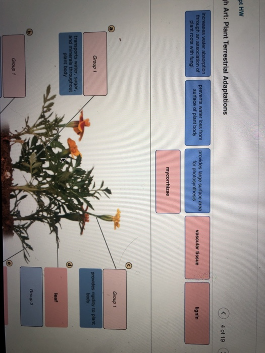 Solved: All Information Given It Is Just A Fill In The Bla... | Chegg.com Solved: All Information Given It Is Just A Fill In The Bla... | Chegg.com