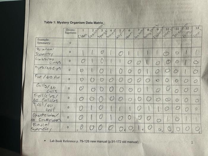 Solved Create a Phylogenetic tree using the data below. A | Chegg.com