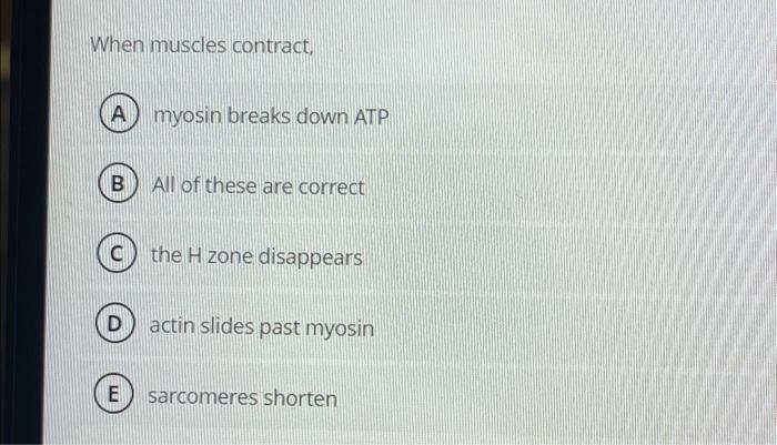Solved When muscles contract, myosin breaks down ATP All of | Chegg.com