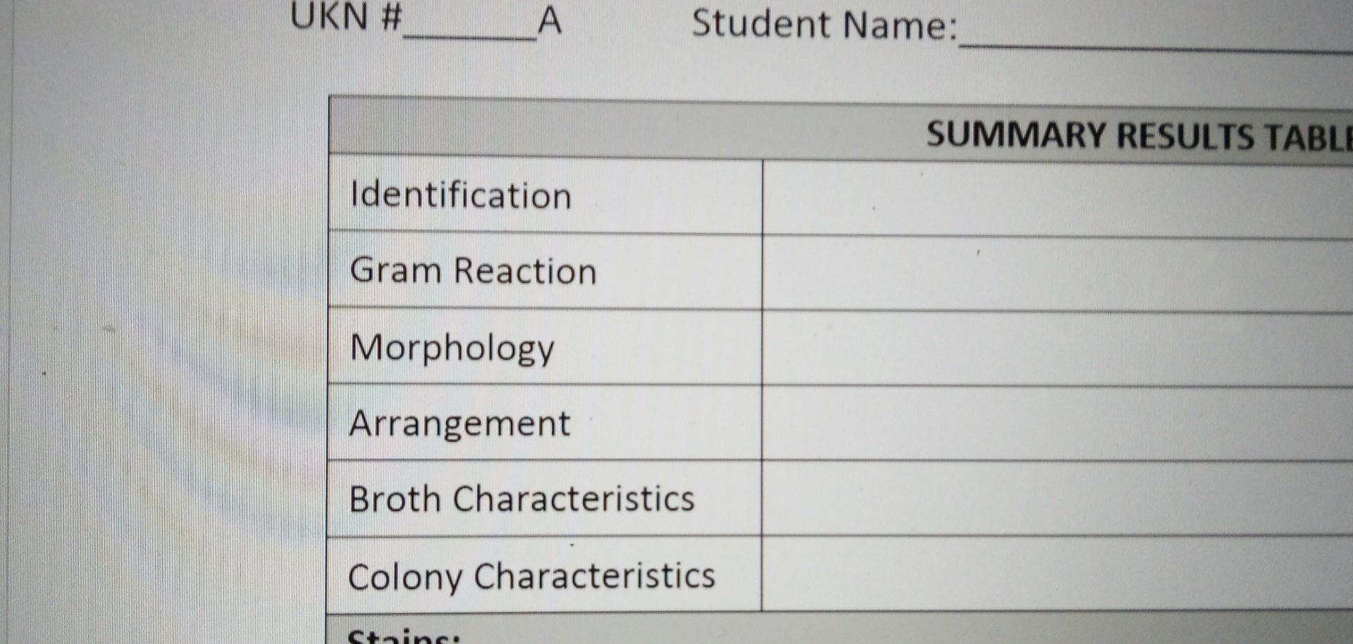 Solved Unknown \#2B gram negative bacilli single bacilli | Chegg.com