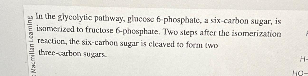 Solved In the glycolytic pathway, glucose 6-phosphate, a | Chegg.com