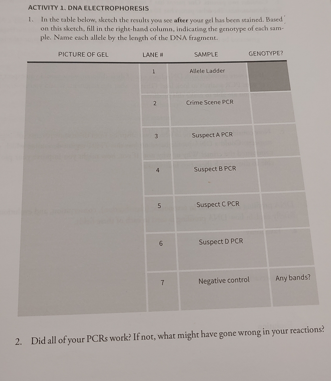 Solved ACTIVITY 1. ﻿DNA ELECTROPHORESISIn the table below, | Chegg.com