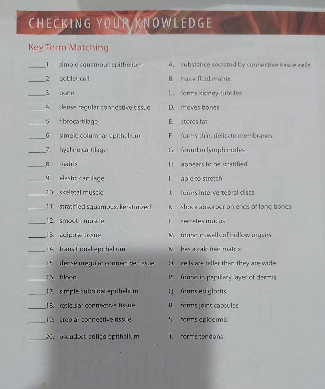 Solved CHECKING YOUR KNOWLEDGE Key Term Matching 1. simple | Chegg.com