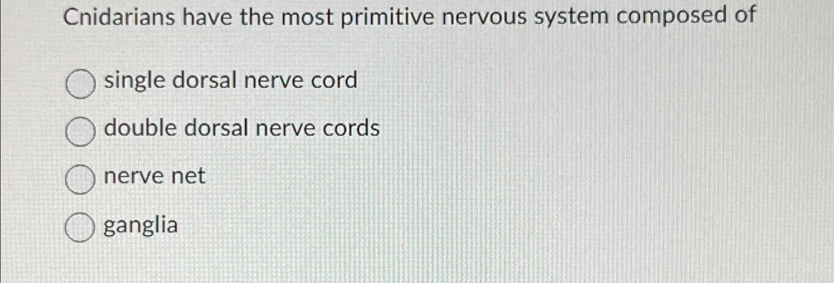 Solved Cnidarians have the most primitive nervous system | Chegg.com