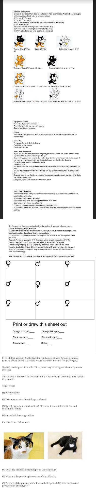 Solved .. G1 phase cat cells will have 19 pairs of | Chegg.com