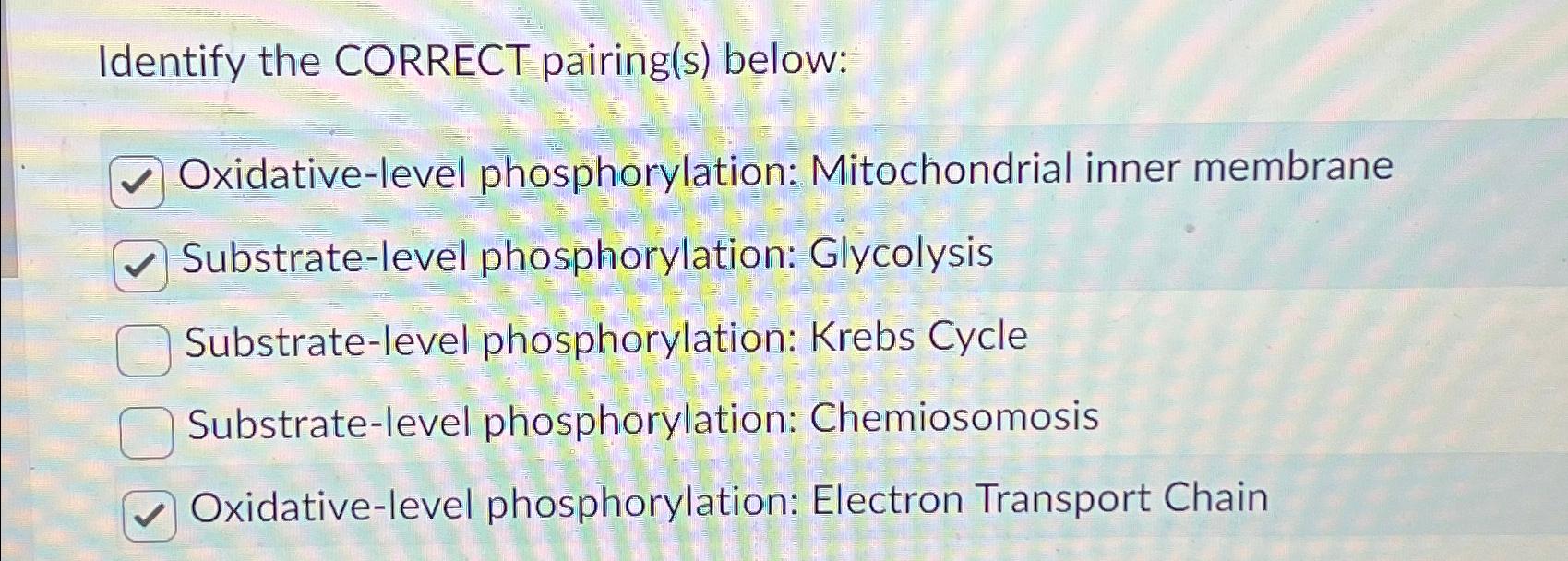 Solved Identify the CORRECT pairing(s) | Chegg.com