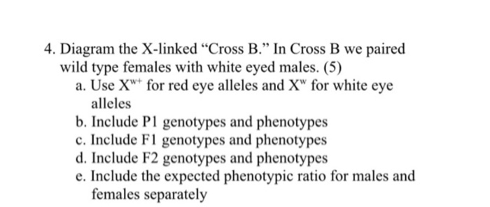 Solved 4. Diagram the X-linked "Cross B." In Cross B we | Chegg.com