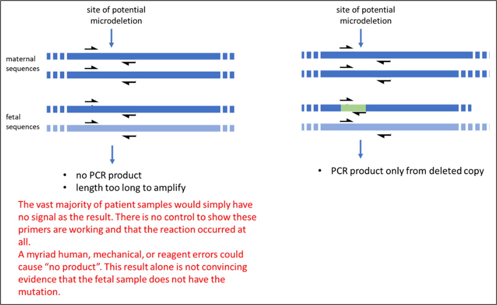 Solved Typical PCR using primers outside the deleted region | Chegg.com