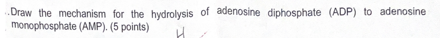 Solved Draw the mechanism for the hydrolysis of adenosine | Chegg.com