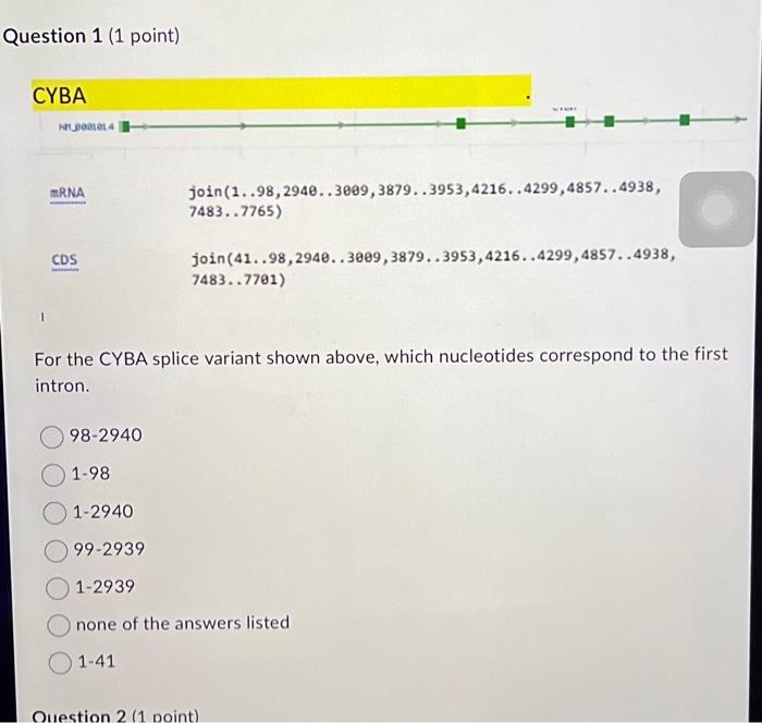 Solved Question 1 (1 point) For the CYBA splice variant | Chegg.com