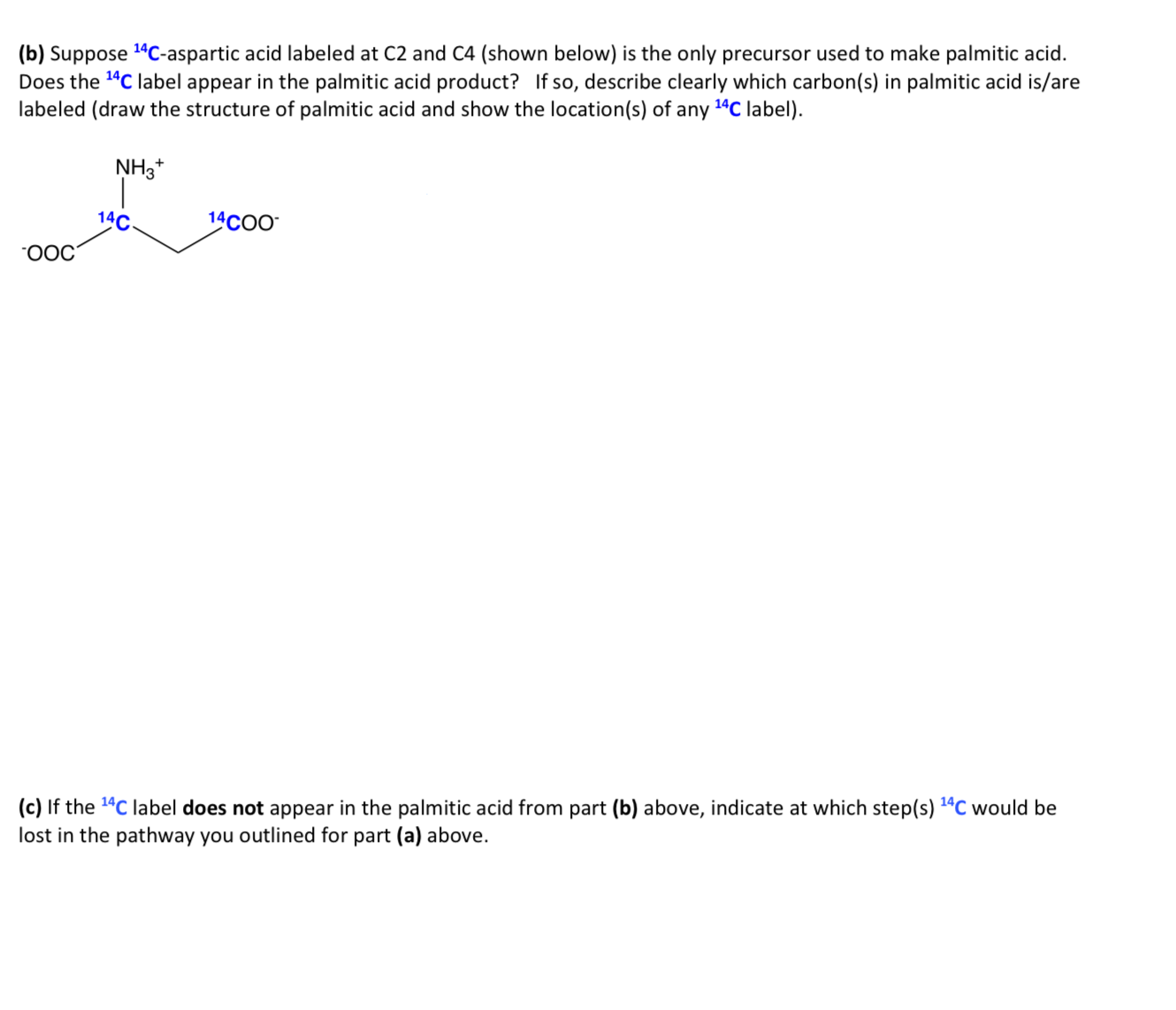 Solved (b) ﻿Suppose ?14C-aspartic acid labeled at C2 ﻿and | Chegg.com