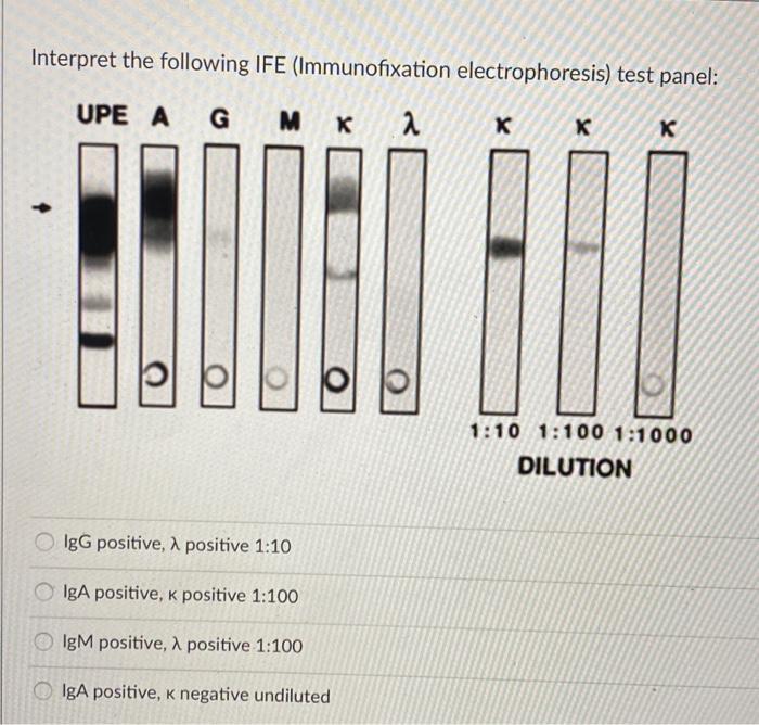 Solved Interpret the following IFE (Immunofixation | Chegg.com