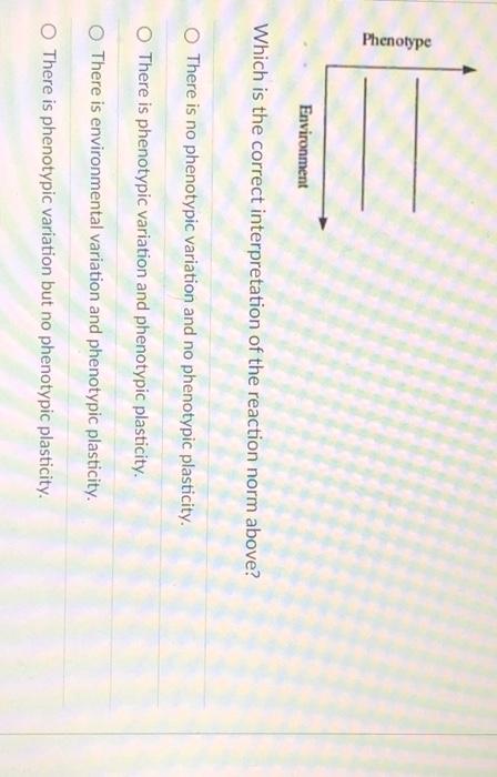 Solved Phenotype Environment Which is the correct | Chegg.com