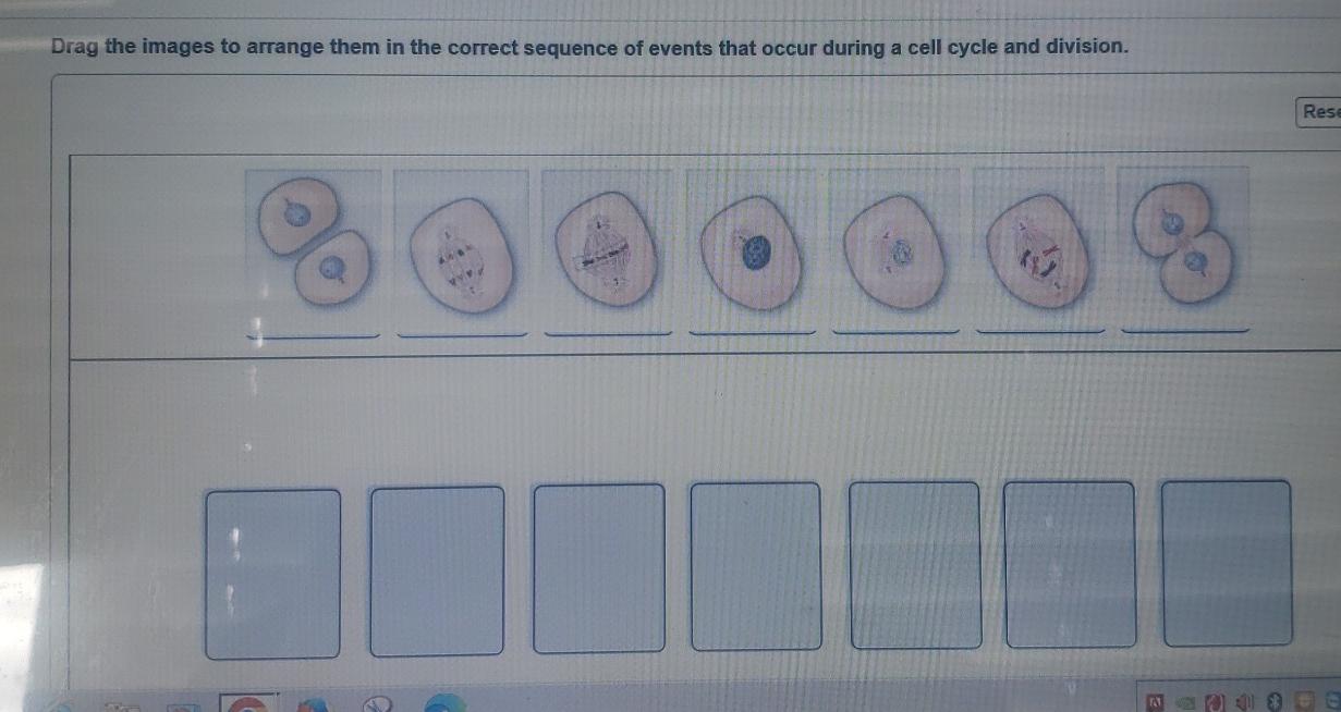 Solved Drag the images to arrange them in the correct | Chegg.com