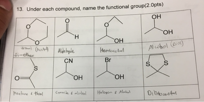 Solved 13. Under each compound, name the functional | Chegg.com