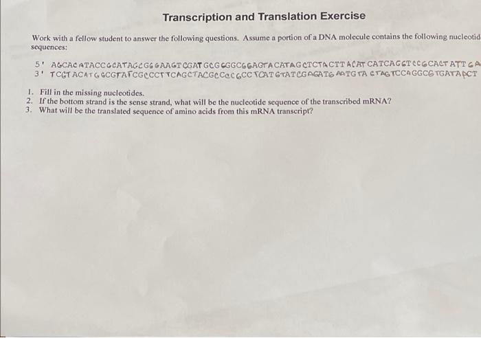 Transcription and Translation Exercise Work with a | Chegg.com