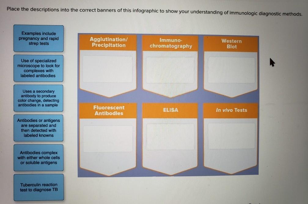 Solved Place the descriptions into the correct banners of | Chegg.com